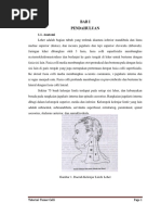 1.anatomi Leher Dan Kelenjar Limfa Leher - Modul 2 | PDF