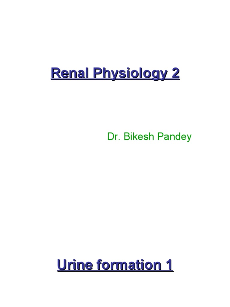 Renal Physiology 2: Urine Formation and Regulation of GFR | PDF ...