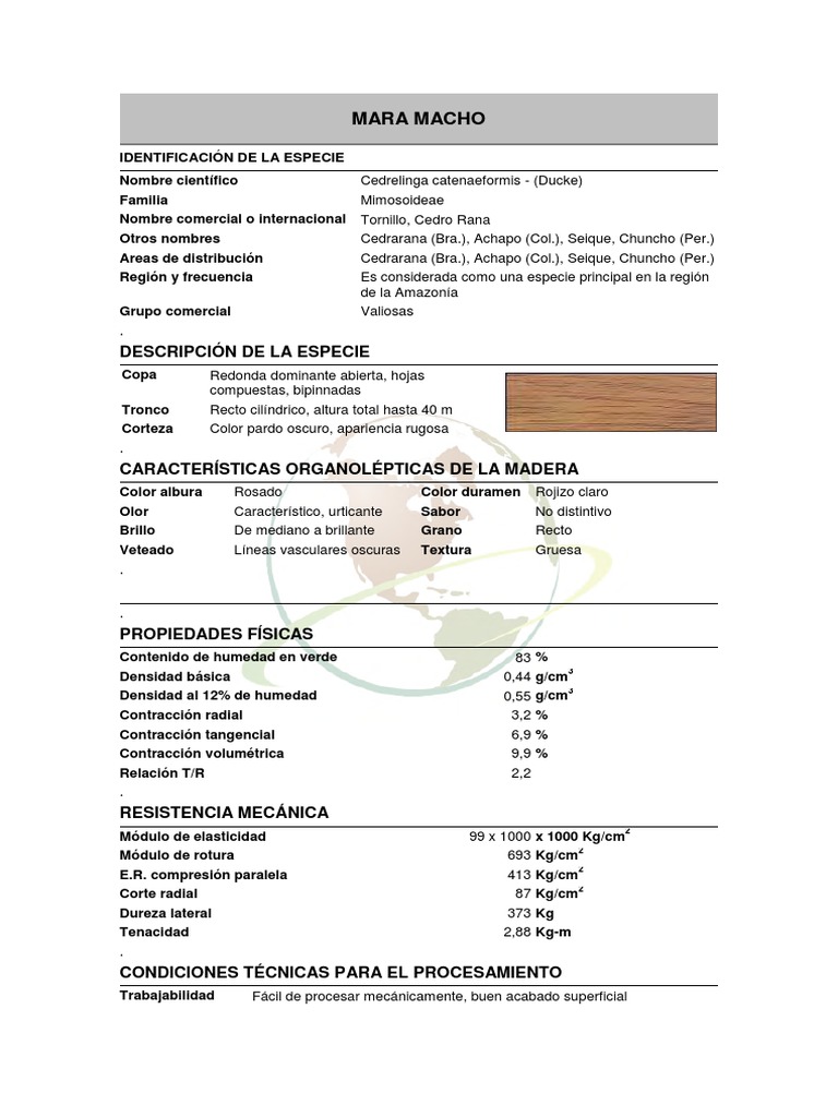 Mara Macho | PDF | Arboles | Plantas