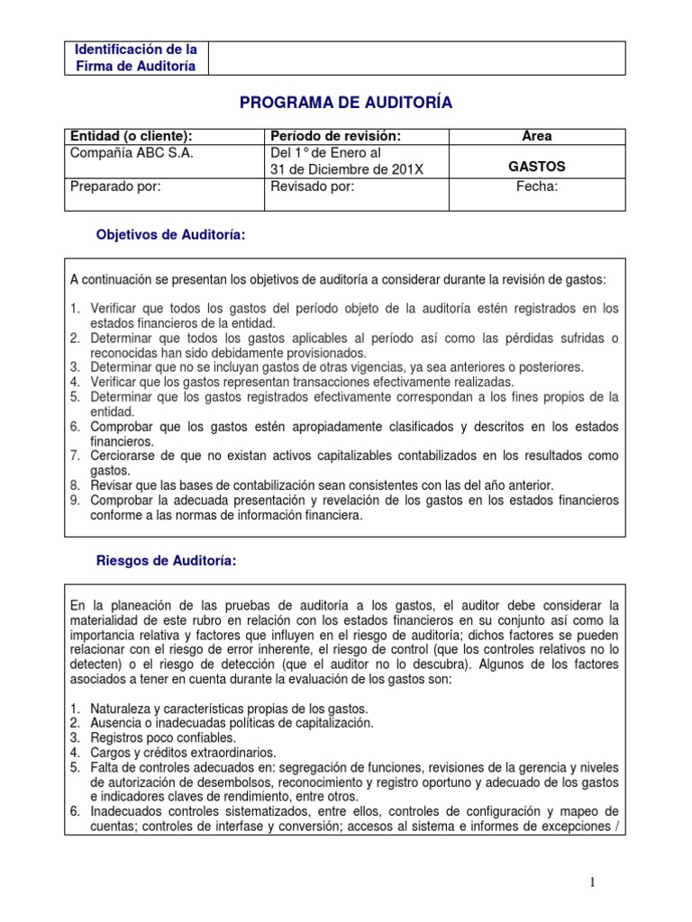 Programa Auditoria Gastos | PDF | Auditoría financiera | Estado financiero