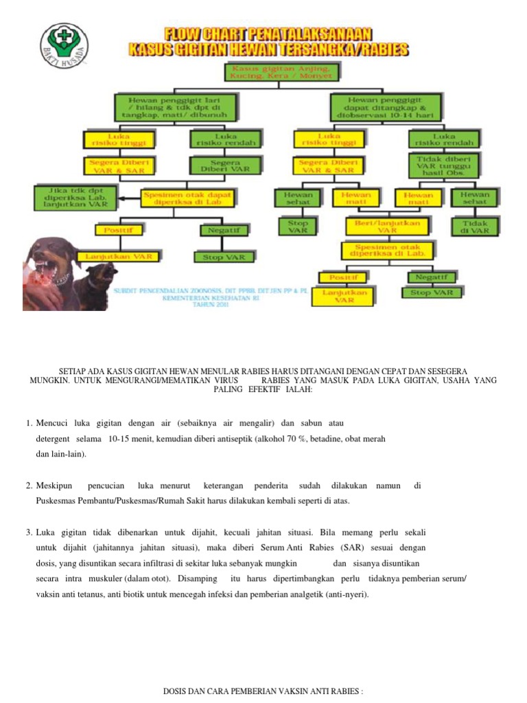 PENGOBATAN GIGITAN HEWAN MENULAR RABIES | PDF