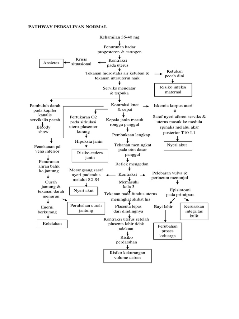 Woc Anc Pdf