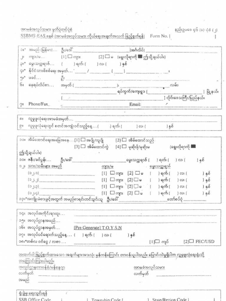 Myanmar SSB Form (Tax Form) | PDF