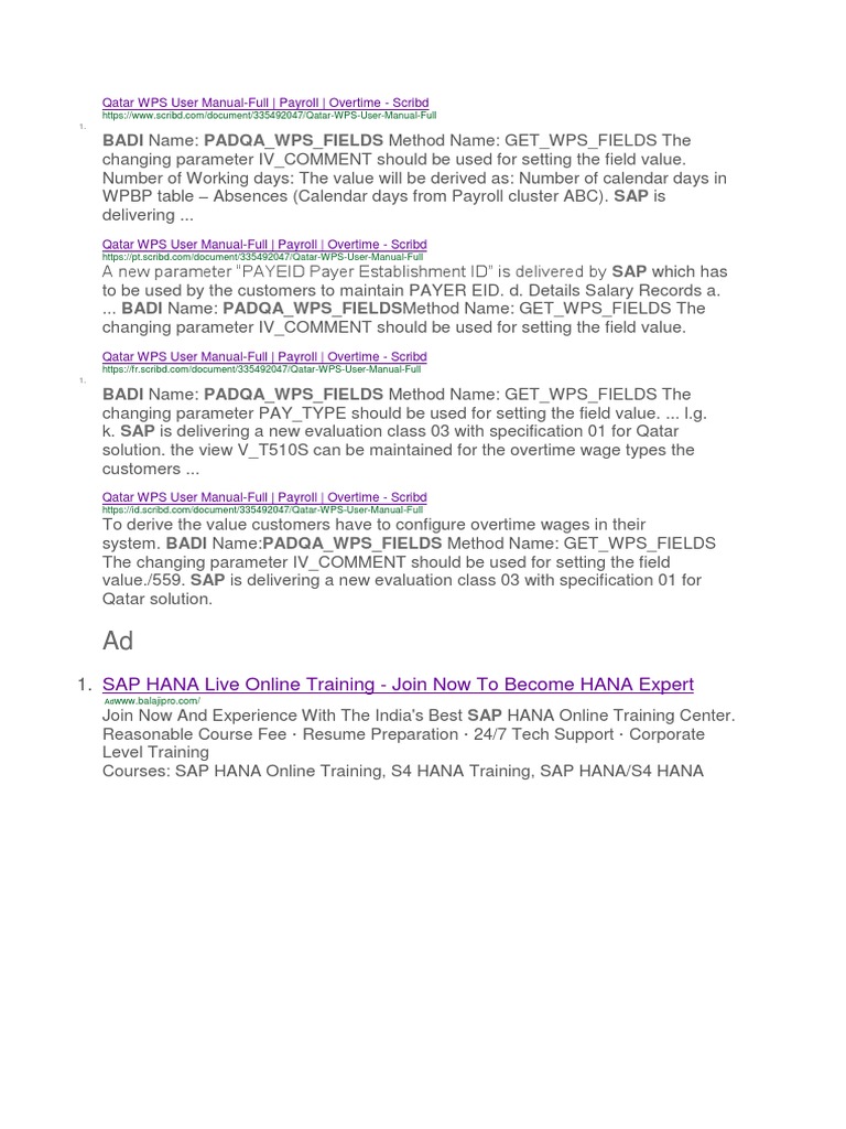 Qatar WPS User Manual | PDF | Computers