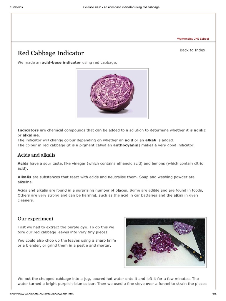 Red Cabbage PH Indicator | PDF