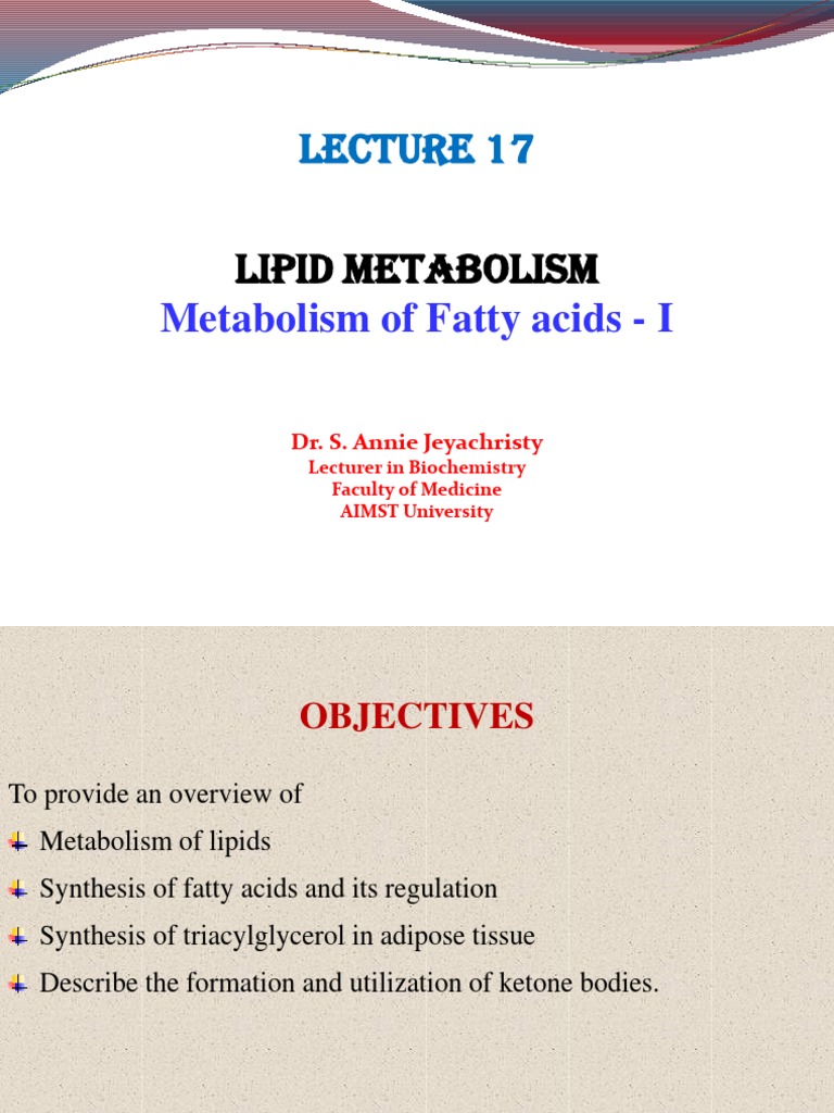 Lecture 17 - Lipid Metabolism II | PDF | Ketosis | Fatty Acid