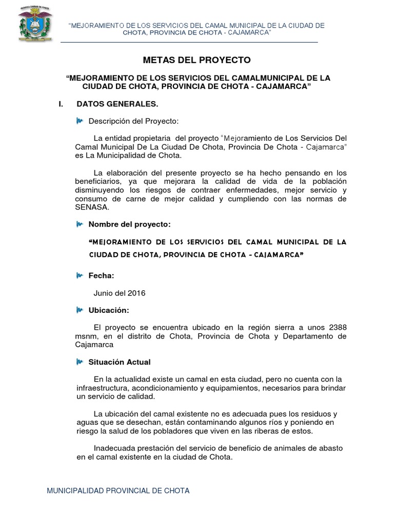 Metas Del Proyecto | PDF | Matadero | Alimentos