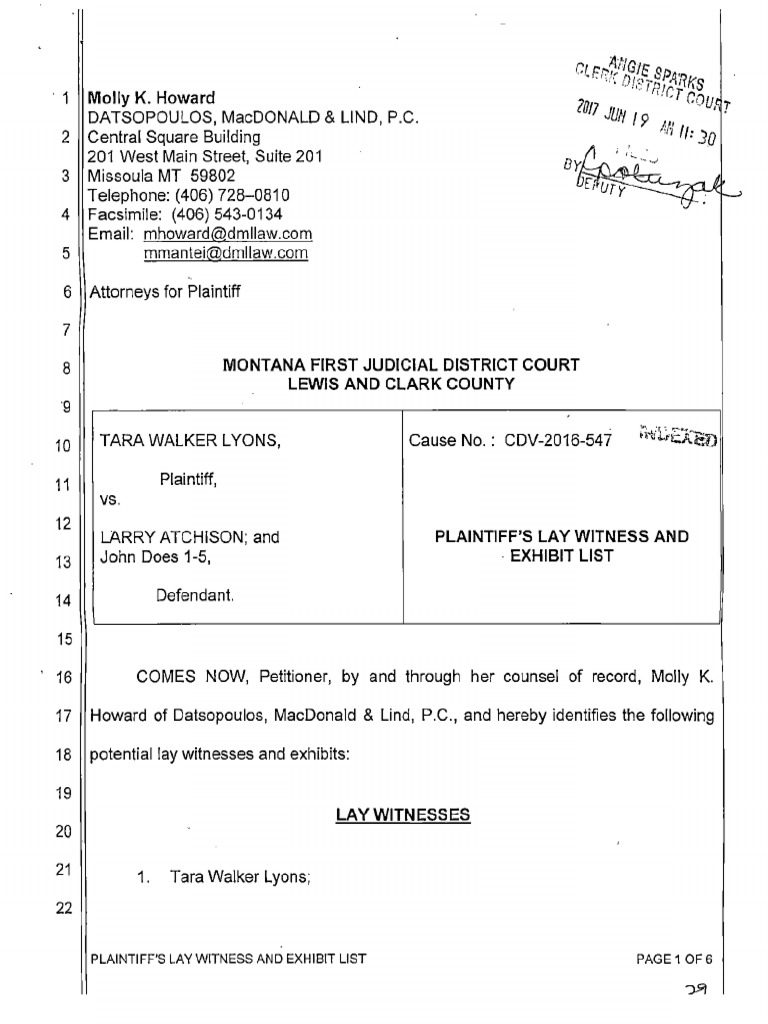 Plaintiff's lay witness and exhibit list (6/19/17), Tara Walker Lyons v ...