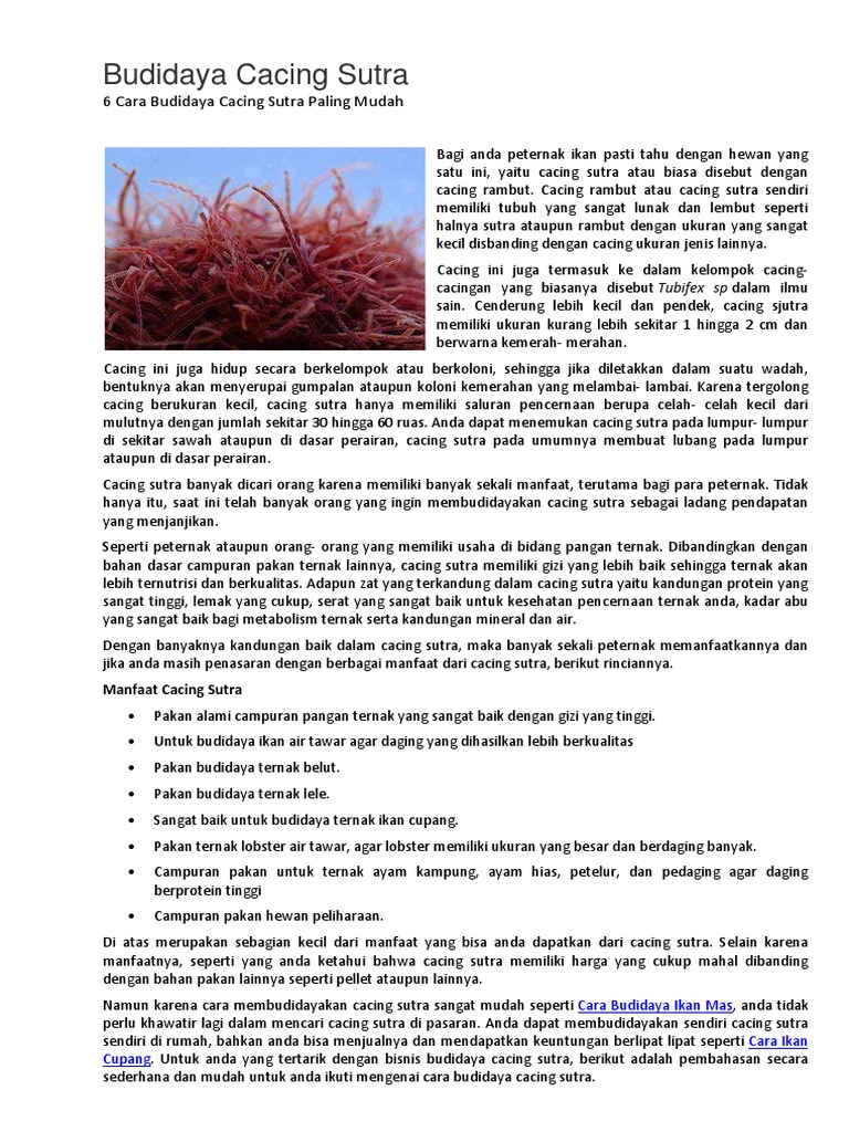 Budidaya Cacing Sutra | PDF