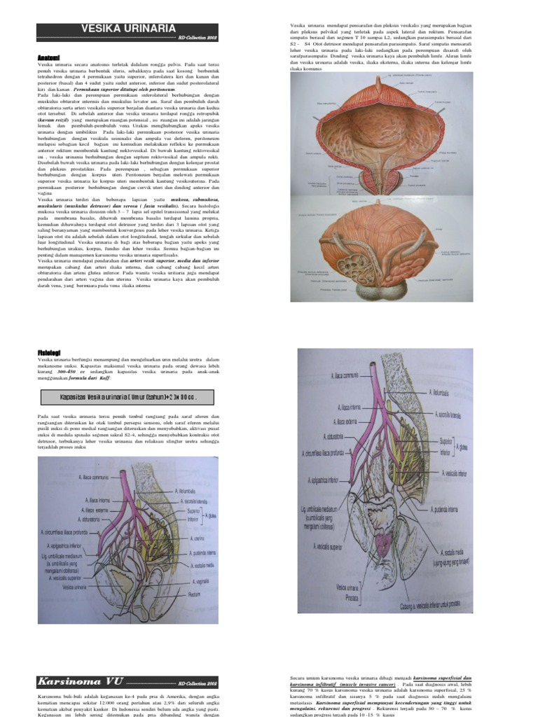 Vesika Urinaria-RD2002 PDF | PDF