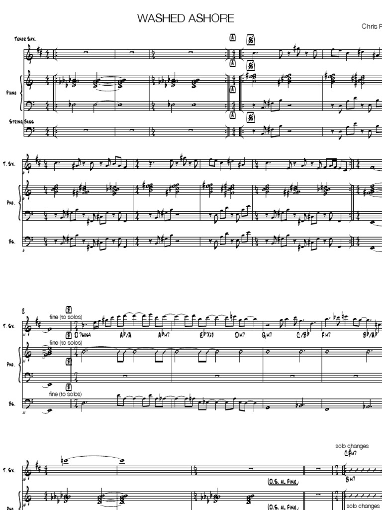 Washed Ashore Grade | PDF | String Instruments | Chordophones