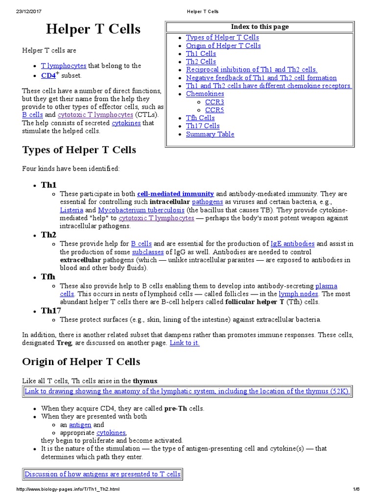 Helper T Cells | PDF | T Helper Cell | Chemokine