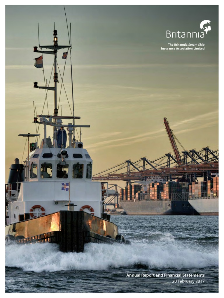 Britannia P&I Annual Report and Financial Statements 2017 - 06 PDF ...