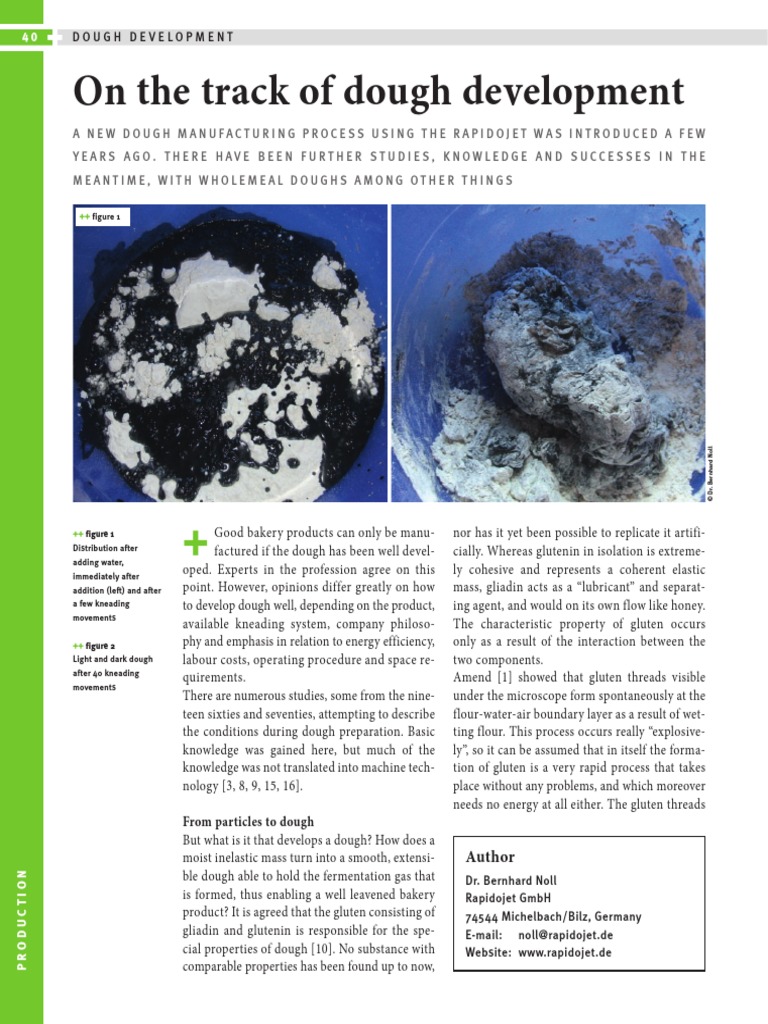 On The Track of Dough Development | PDF | Dough | Gluten