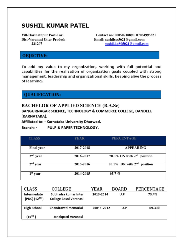 Sushil Kumar Patel: Objective | PDF | Bachelor's Degree | Business