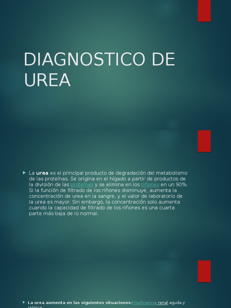 Diagnostico de Urea | PDF | Riñón | Sangre