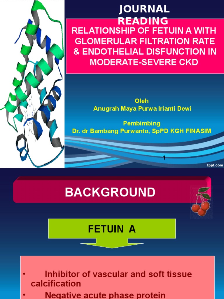 Fetuin | PDF | Chronic Kidney Disease | Renal Function