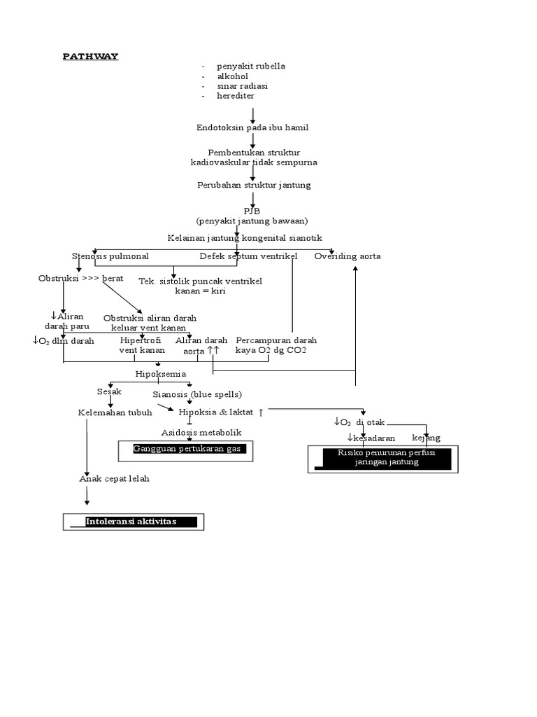 Pathway PJB Sianotik | PDF