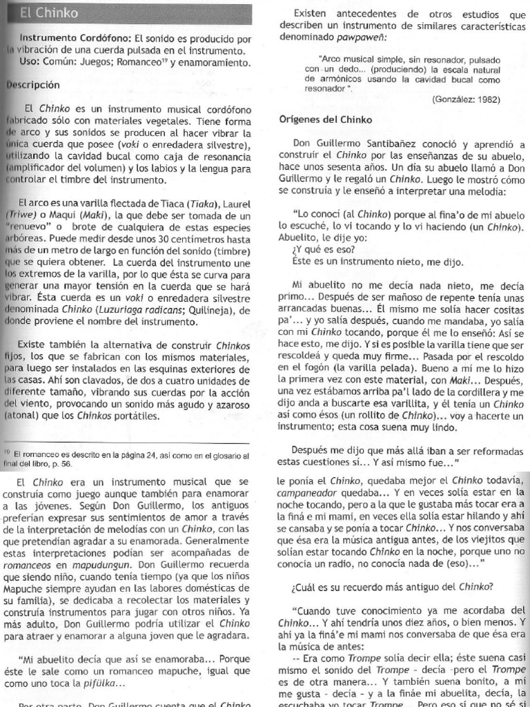 Chinko: Instrumento Musical Mapuche | PDF | Instrumentos de cuerda | Sonido