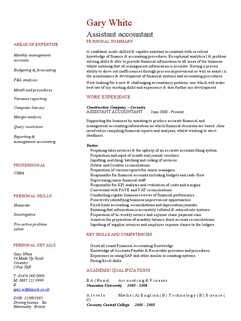 Assistant Accountant CV Template | Download Free PDF | Management ...