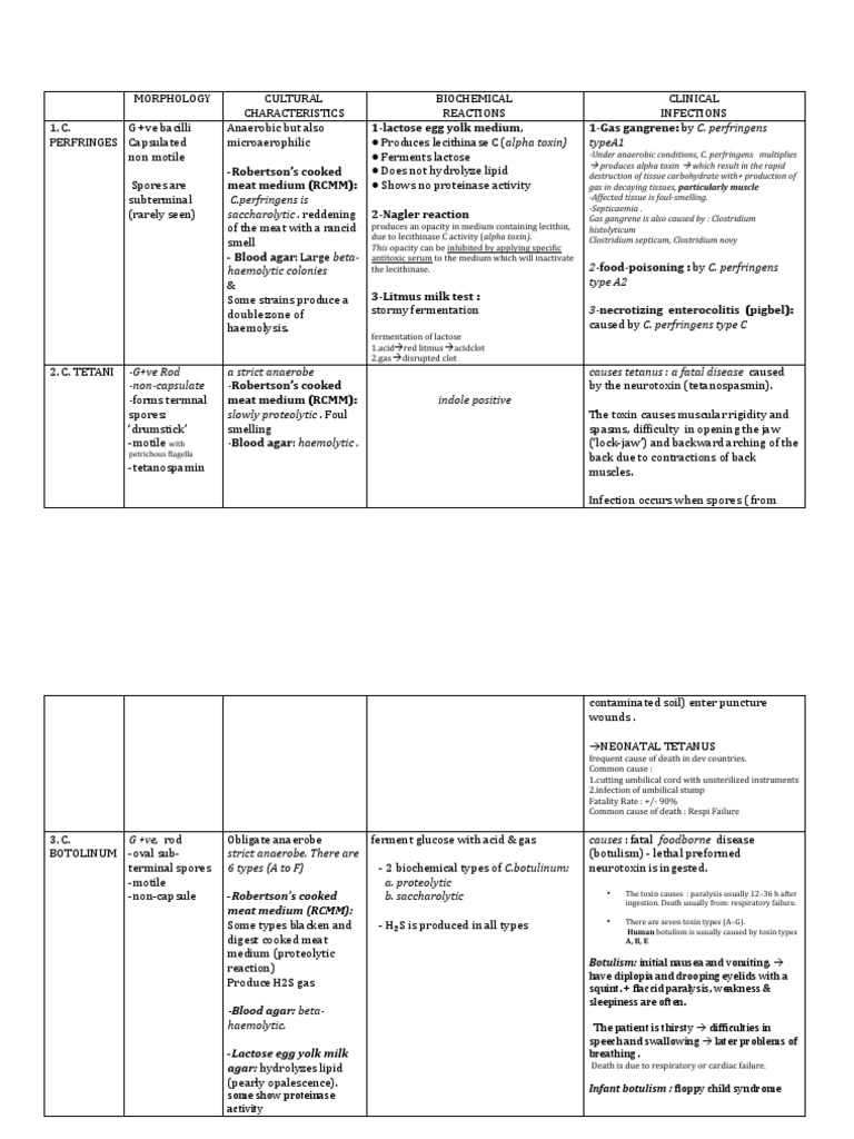 Anaerobic Bacteria Simplified | PDF | Microbiology | Medical Specialties