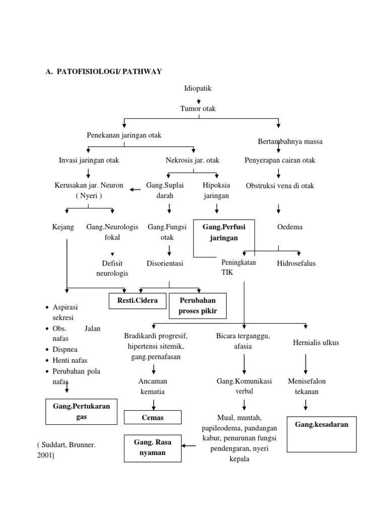 Patofisiologi Sol | PDF