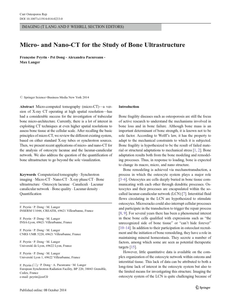 Micro-And Nano-CT For The Study of Bone Ultrastructure: Imaging (T Lang ...
