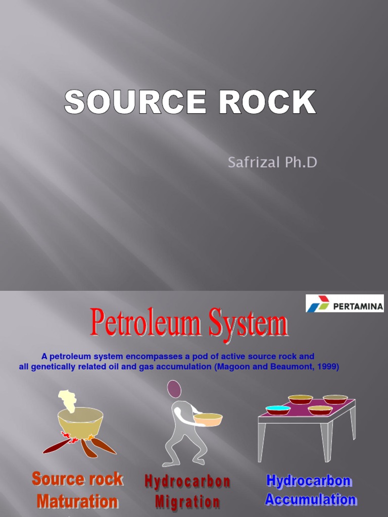 #03 Source Rock | PDF | Petroleum Reservoir | Alkane