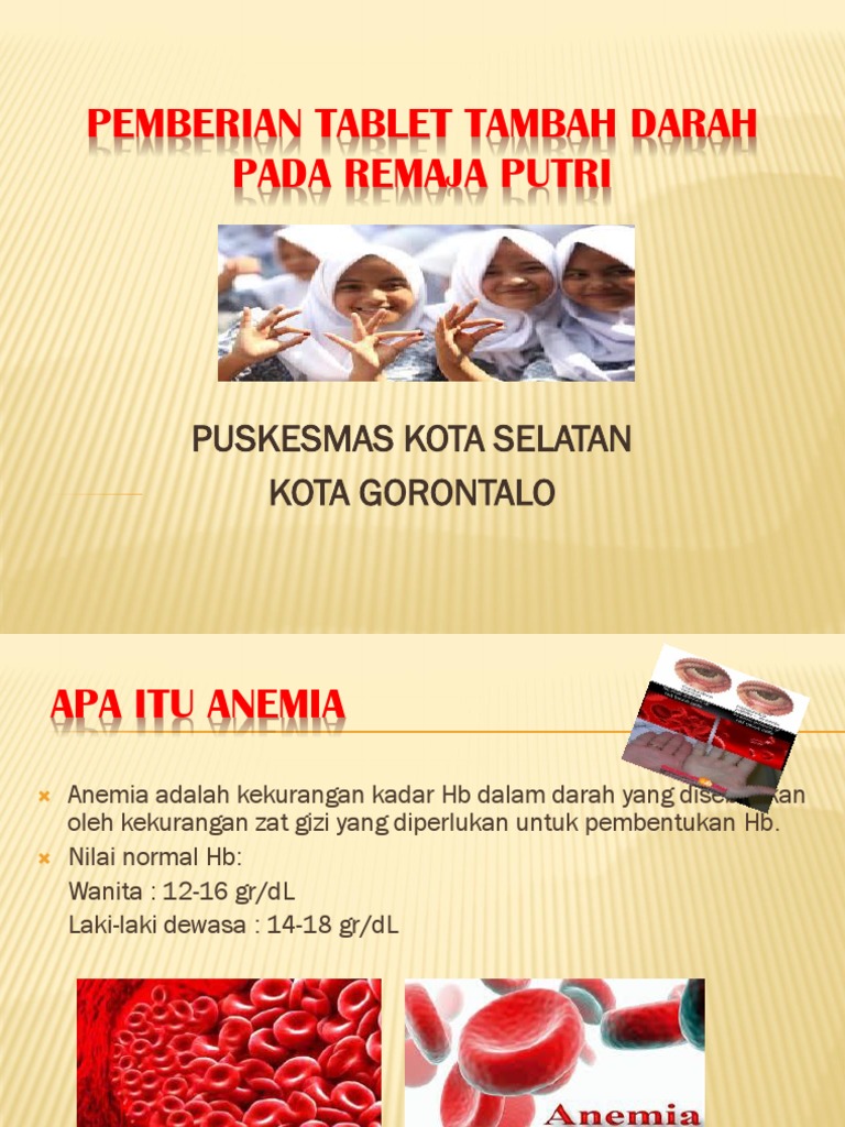 Tablet Fe Remaja Putri | PDF