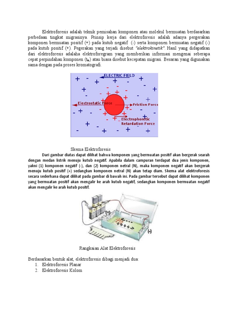 Elektroforesis | PDF