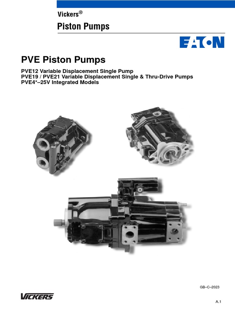 Especificacion Pve21 | PDF | Pump | Machines
