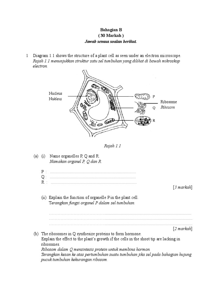 STRUKTUR Mac f5 | PDF