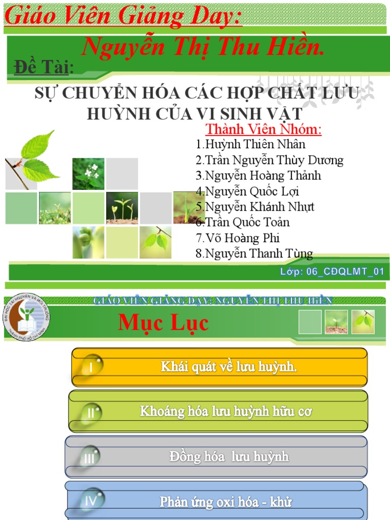 Chu Trinh Luu Huynh | PDF