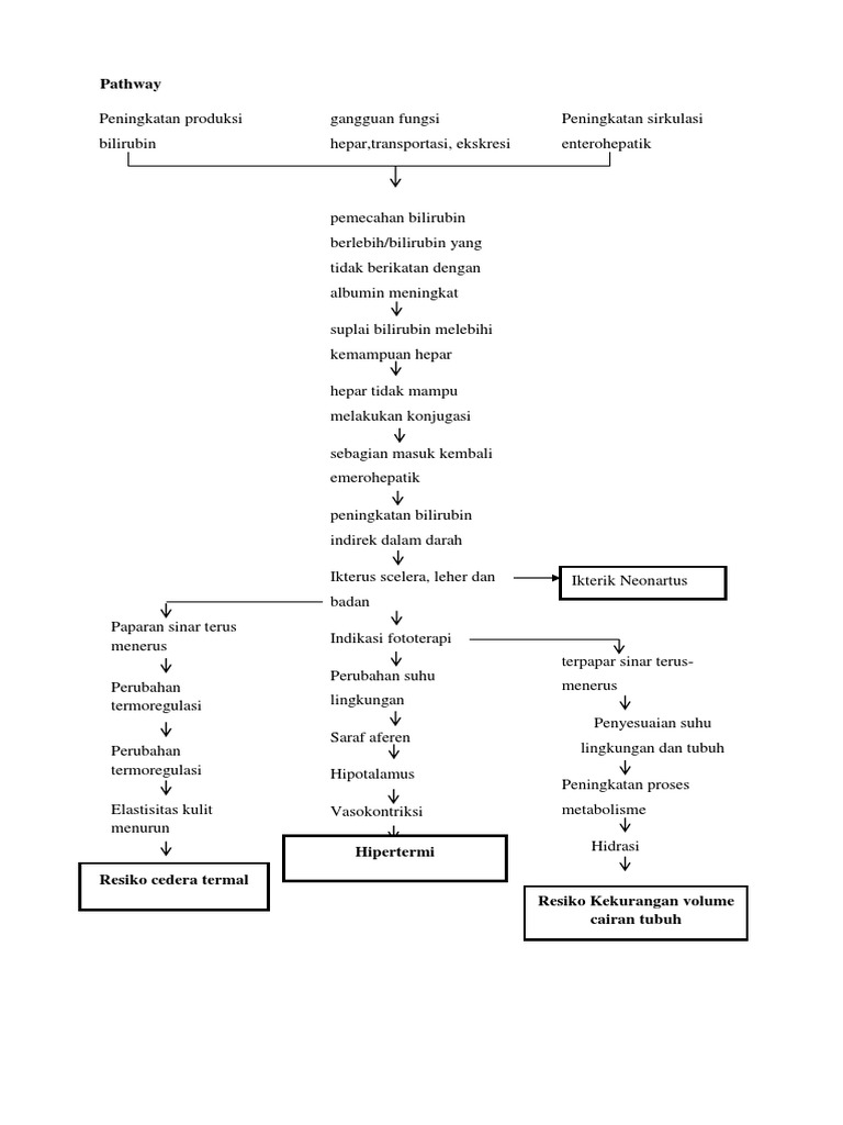 Pathway Ikterik | PDF