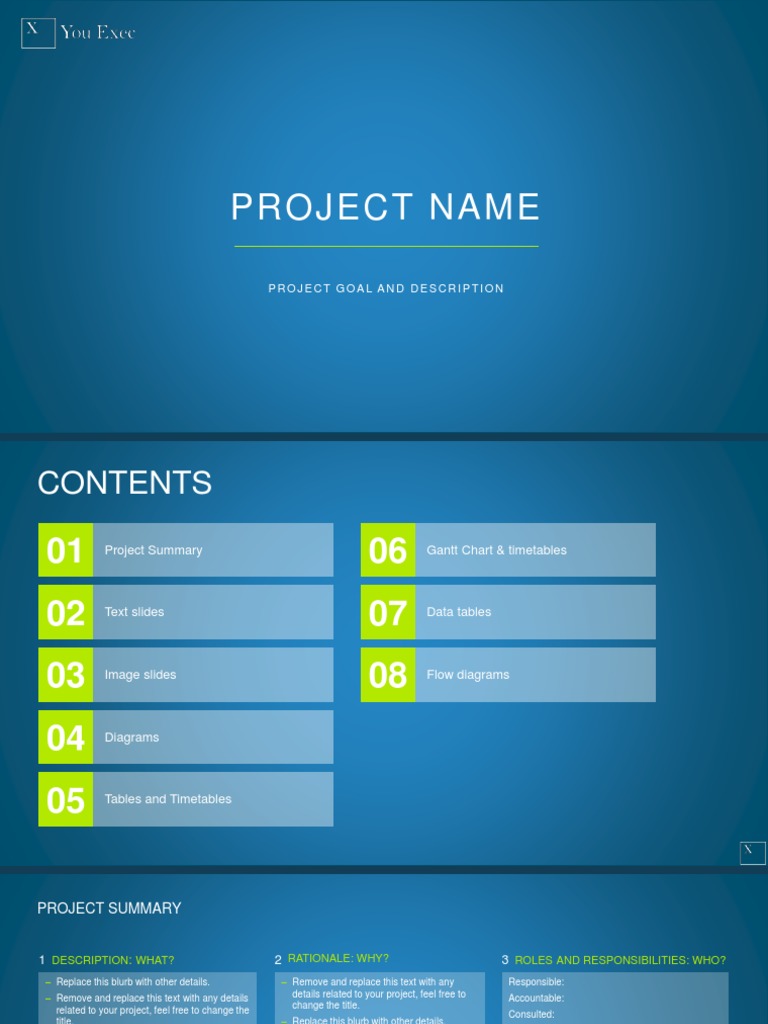 Project Name: Project Goal and Description | PDF | Accountability ...