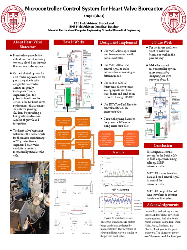 About Heart Valve Bioreactor: How It Works Design and Implement Future Work | PDF | Heart ...