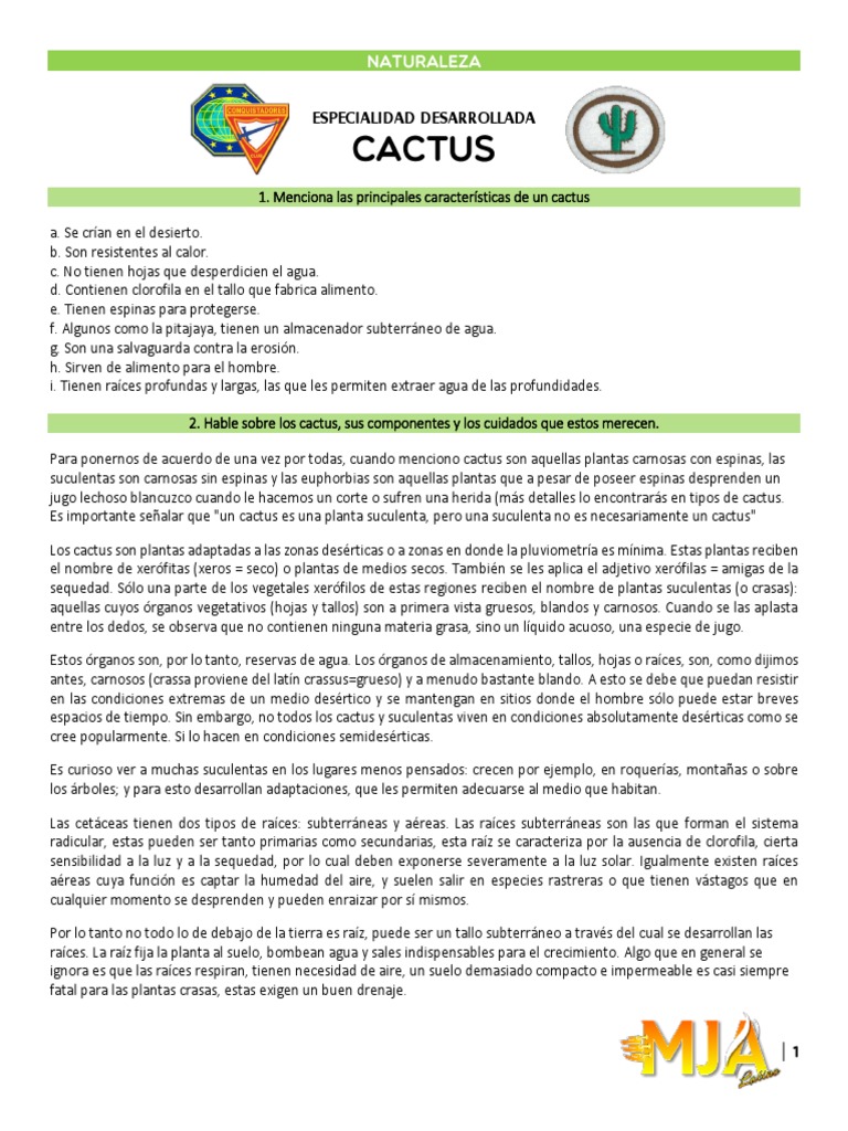 Cactus | PDF | Raíz | Plantas