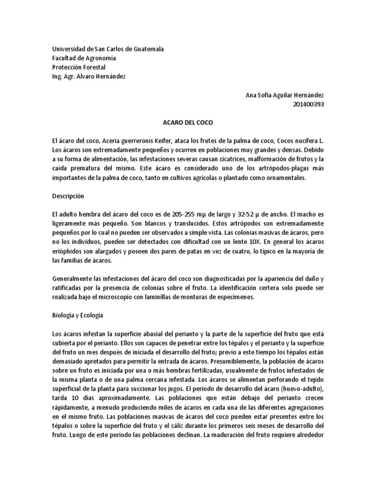 Acaro Del Coco | PDF | Fruta | Arecaceae