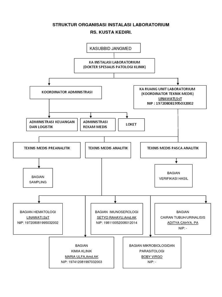 Struktur Organisasi Laboratorium RS Kusta | PDF