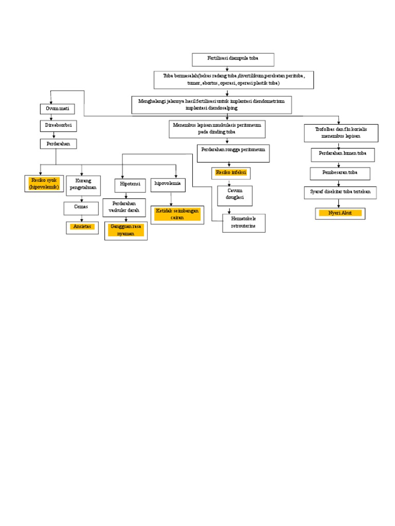 Patway Kehamilan Ektopik | PDF