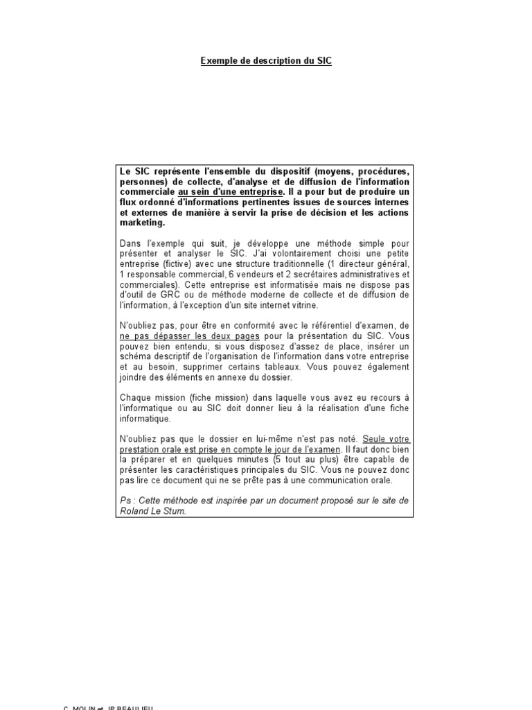 Exemple de Description Du SIC (À Faire) | PDF | Informations | Informatique