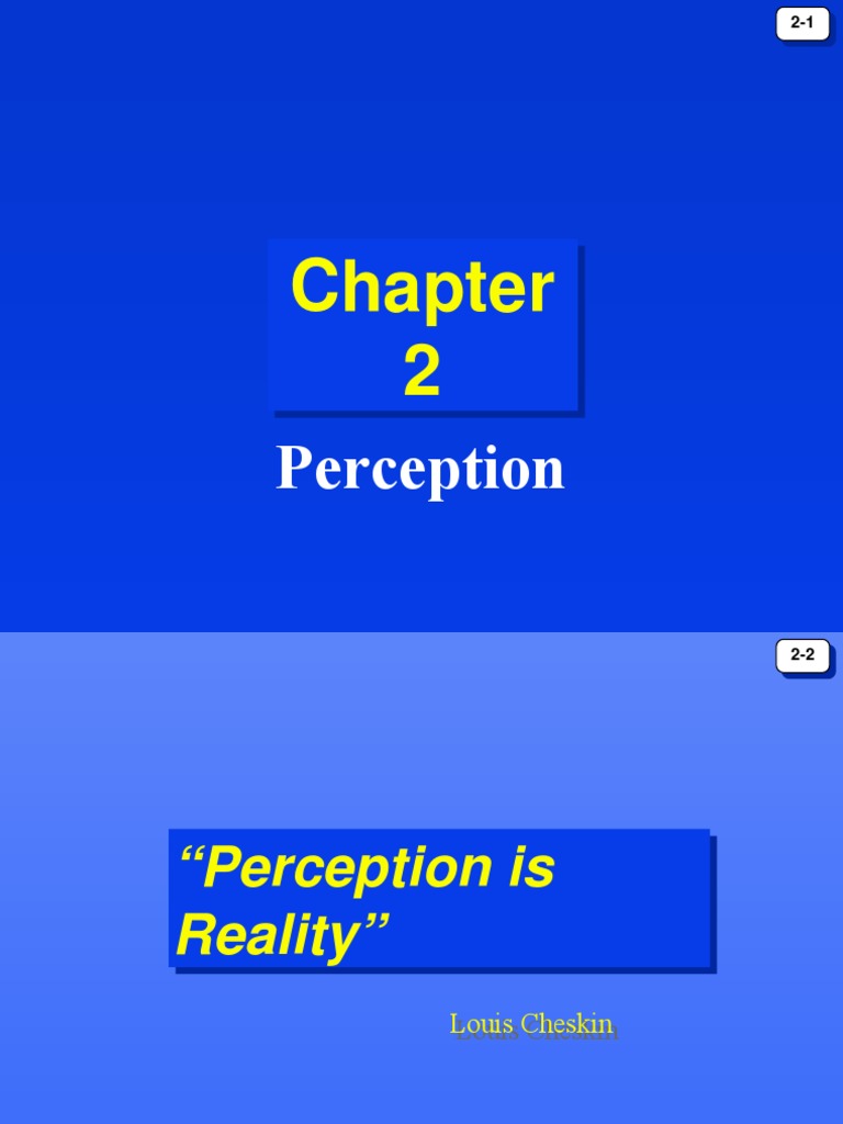 Perception | PDF | Perception | Stimulus (Physiology)