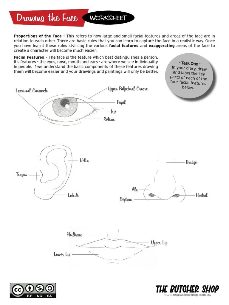 Drawing The Face: Worksheet | PDF | Face | Facial Features
