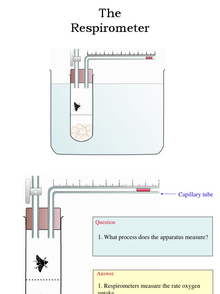 Respirometer BD New 2012 | PDF | Carbon Dioxide | Sodium Hydroxide