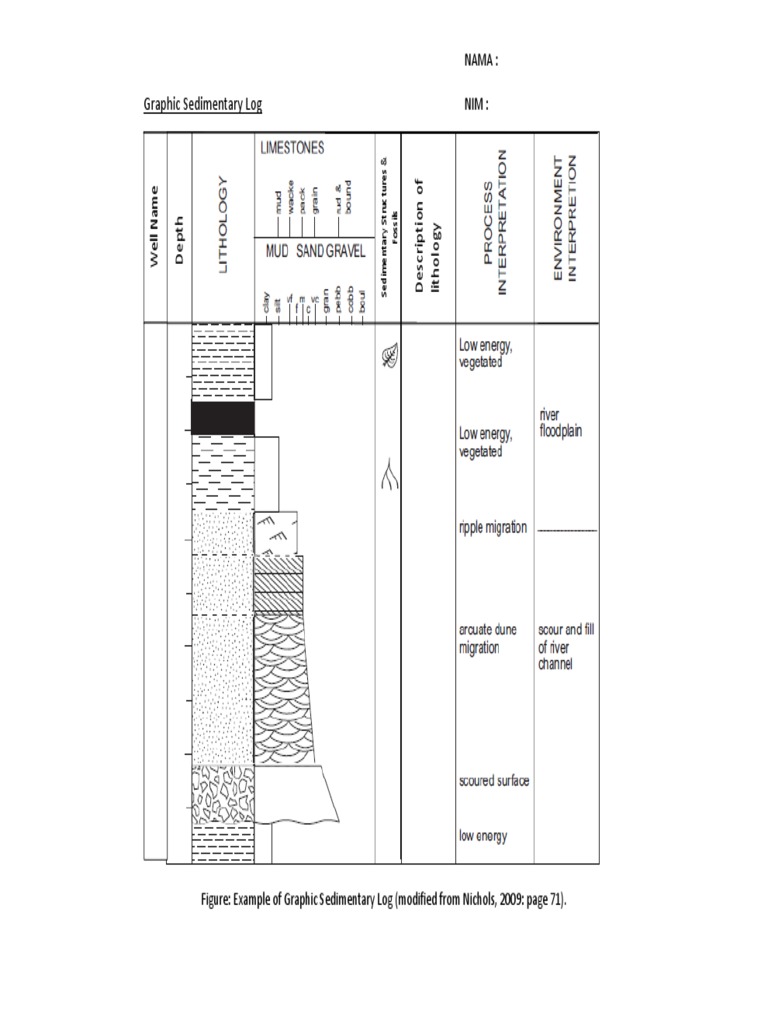 Graphic Sedimentary Log Example | PDF | Earth Sciences | Geology
