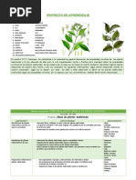 Sesion - de - Aprendizaje Clasificacion de Las Plantas | PDF | Plantas ...
