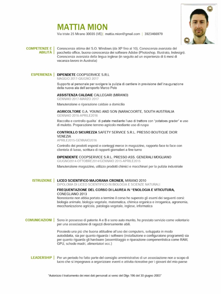 CV Mion Mattia 15-07-91 | PDF