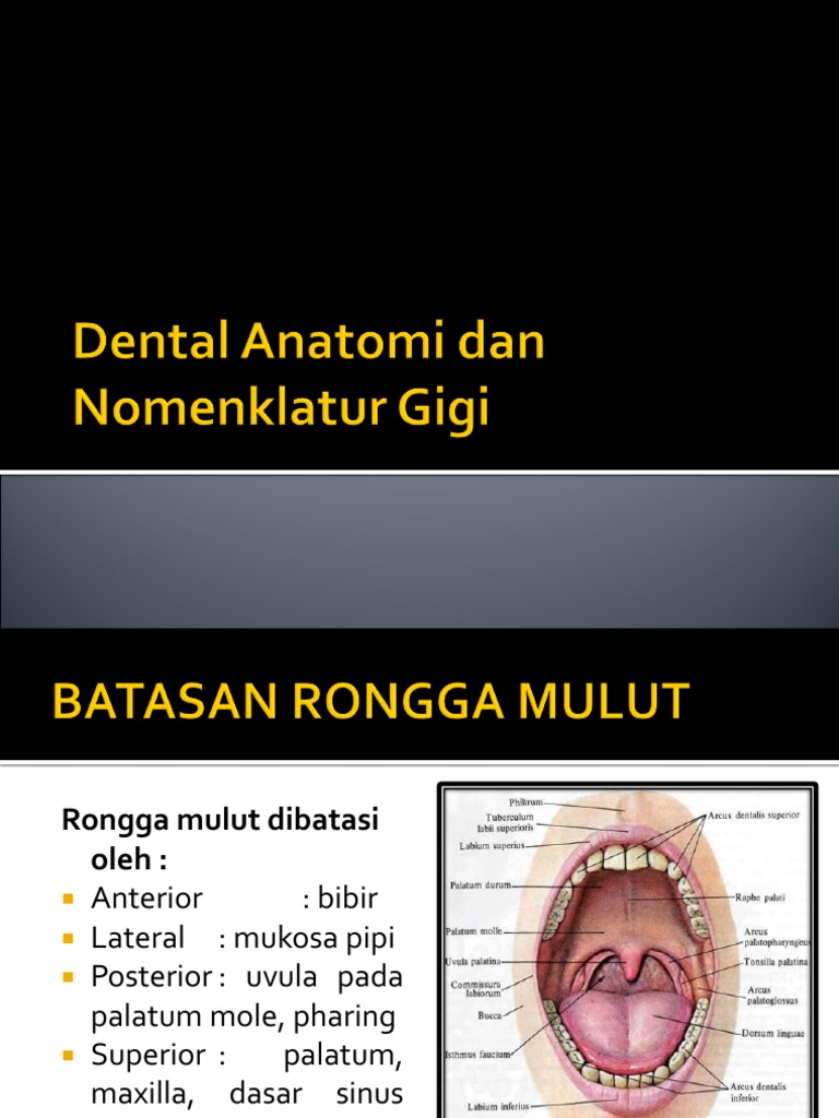 Struktur dan Jenis Gigi Manusia | PDF