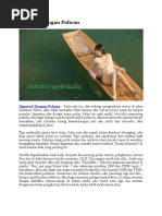 Cerita Dewasa Volume-1 PDF | PDF