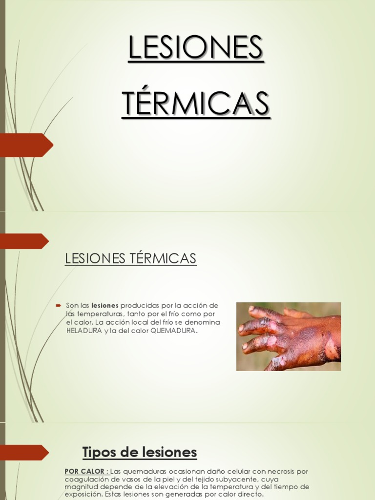 Lesiones Termicas | PDF | Quemar | Piel